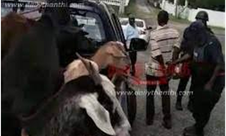 A man who hoarded money given to buy goats and stole 2 goats was ...