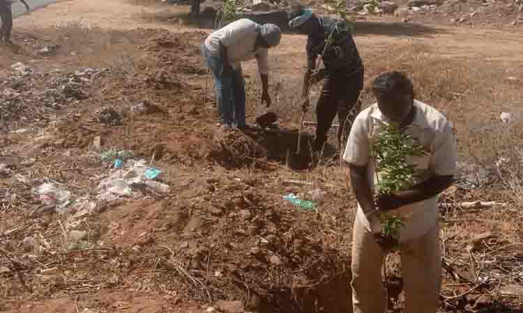 Sapling program | மரக்கன்றுகள் நடும் நிகழ்ச்சி