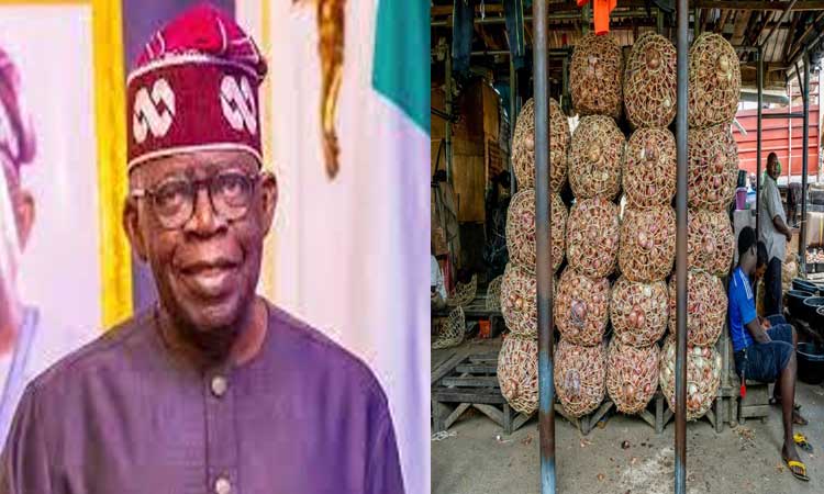 Nigeria declares state of emergency over food security, inflation | நைஜீரியாவில் பணவீக்கத்தை ...