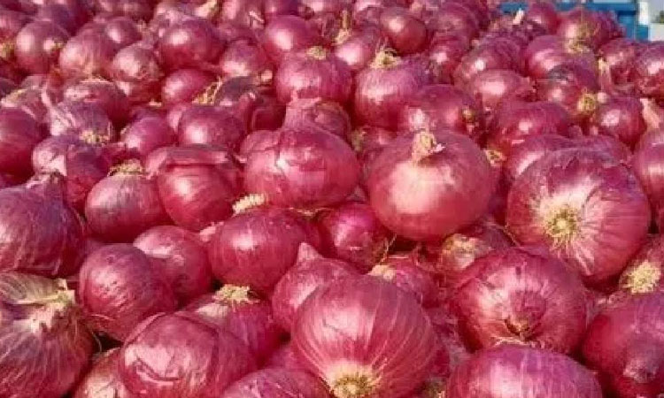 Govt to buy 3 lakh tonnes of onion in Rabi season, 50k tonnes more than ...
