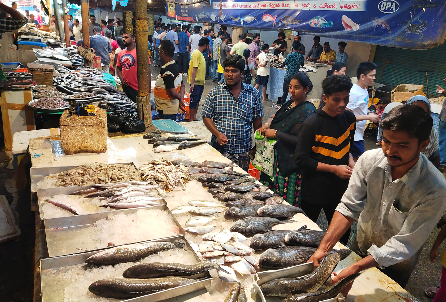 Sales slow at Vellore fish market | வேலூர் மீன் மார்க்கெட்டில் விற்பனை ...