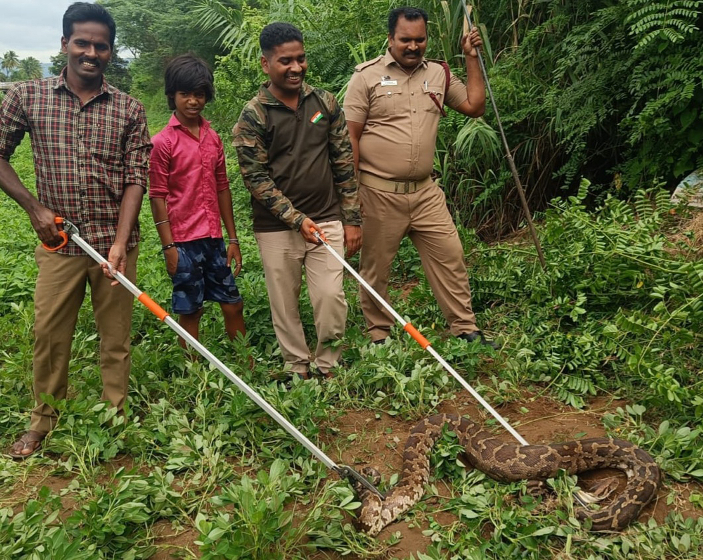 A python was caught near the veterinary hospital | கால்நடை மருத்துவமனை ...