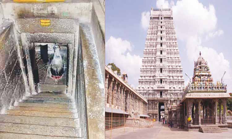 Pathala Lingam in Tiruvannamalai | மரண பயம் போக்கும் பாதாள லிங்கம்