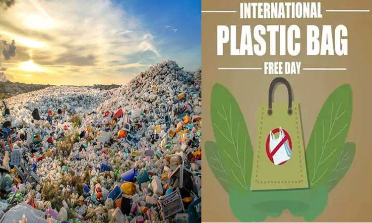 A world without plastic | பிளாஸ்டிக் இல்லாத உலகம்