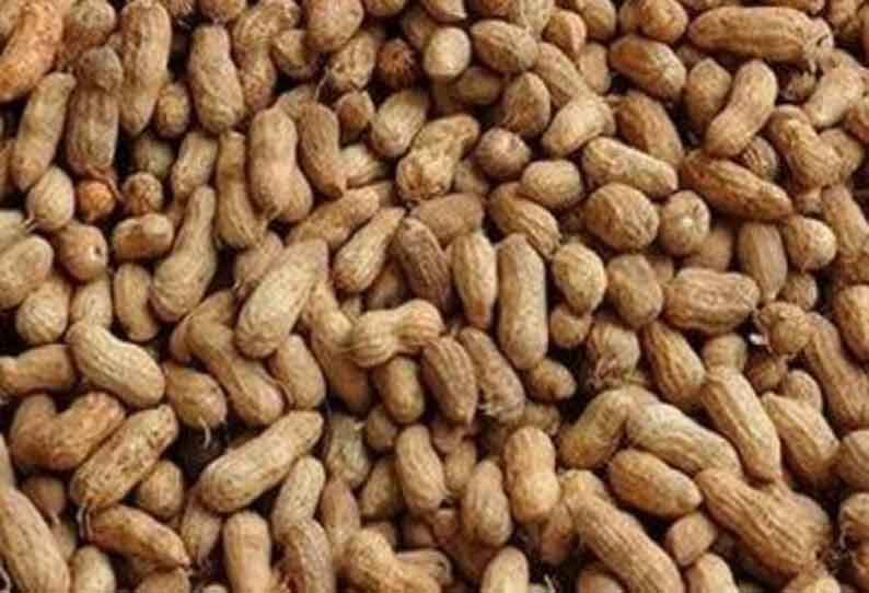 ground nut sales | சேவூரில், ரூ.1,30 லட்சத்திற்கு நிலக்கடலை ஏலம்.
