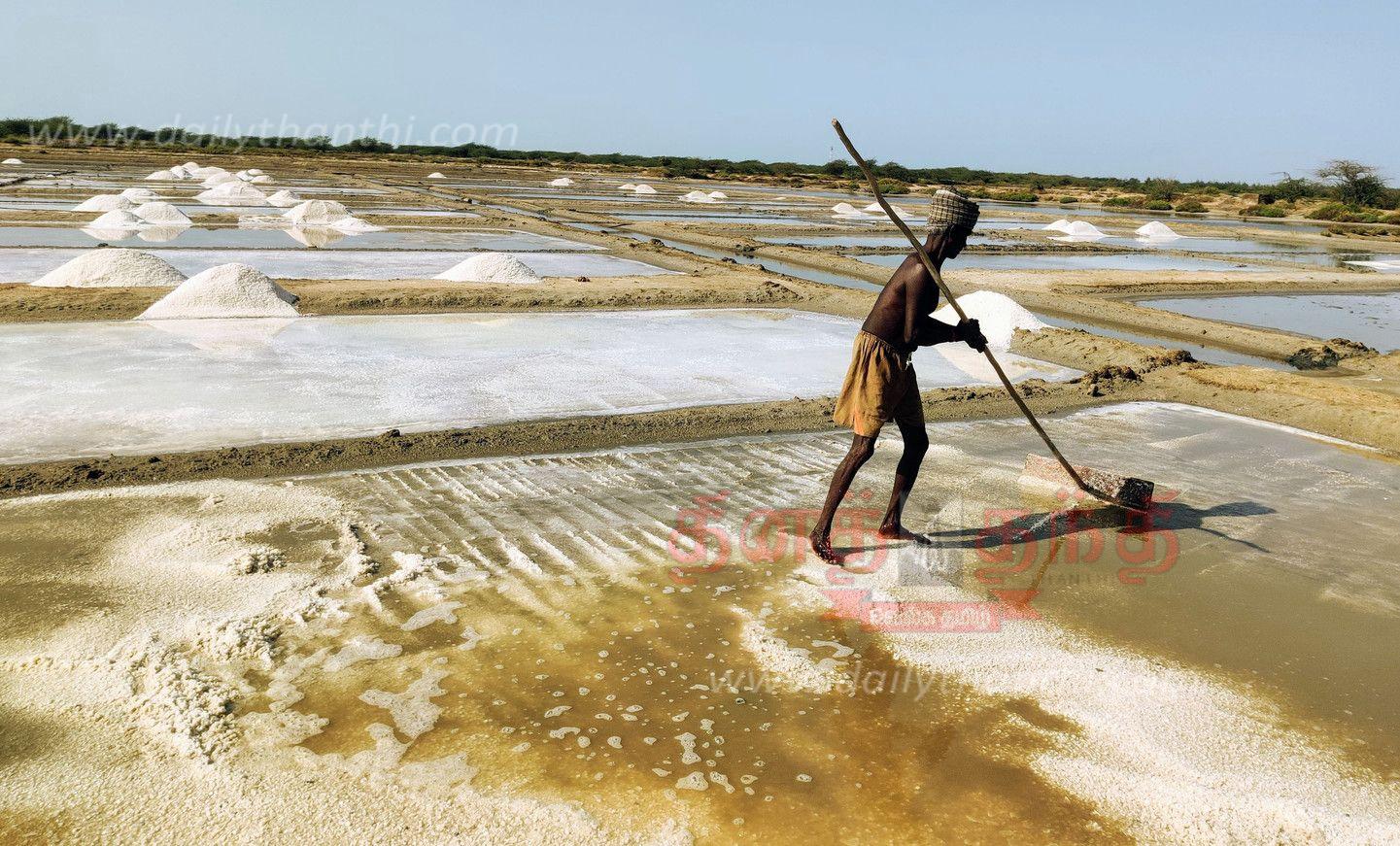 salt production works | உப்பு உற்பத்தி பணிகள் தீவிரம்