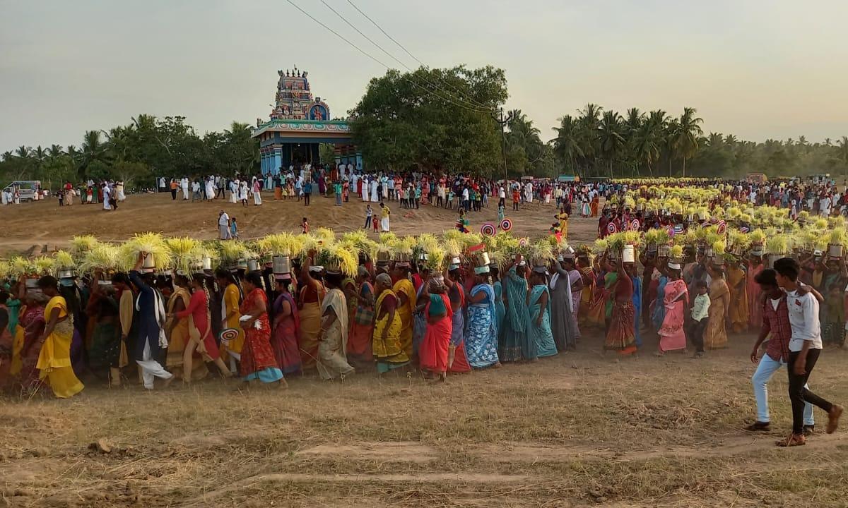 Mulaipari festival at Pitariamman temple | பிடாரியம்மன் கோவிலில் ...