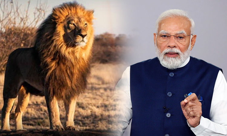 Let's protect lions and create many generations - PM Modi | சிங்கங்களை ...
