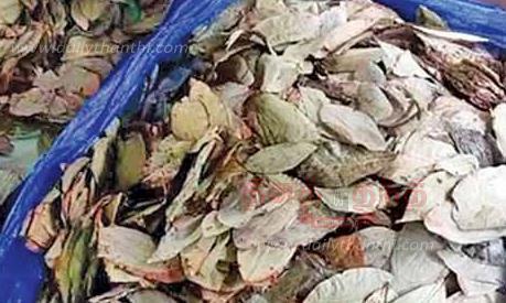 66 bundles of beedi leaves thrown on private land | தனியார் நிலத்தில் ...