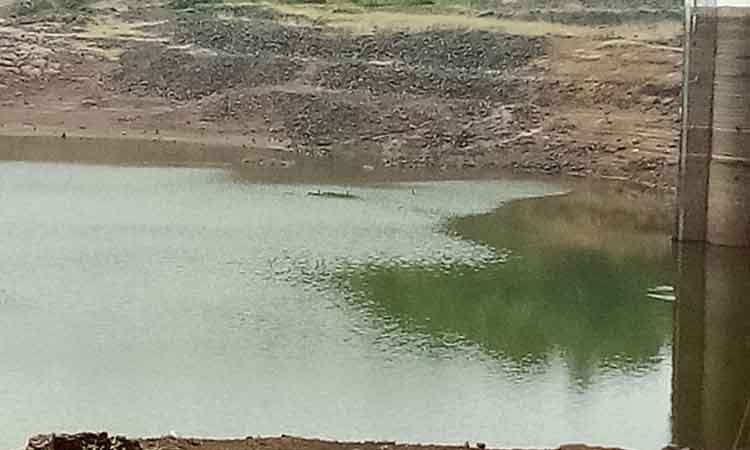 Perunjani dam water level falls to 26 feet | பெருஞ்சாணி அணை நீர்மட்டம் ...