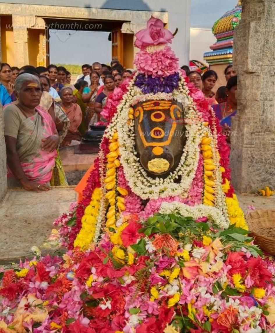 in the district Pradosha worship in Ishwaran temples ...