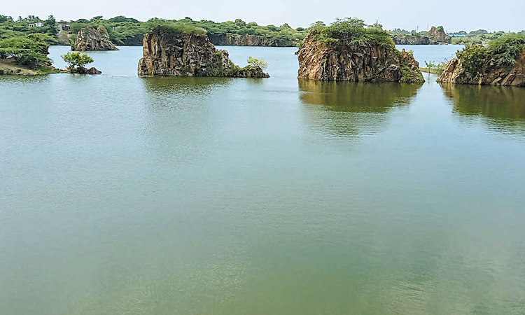 Sikkarayapuram Kalquari Ponds that look like the sea | கடல் போல் காட்சி ...