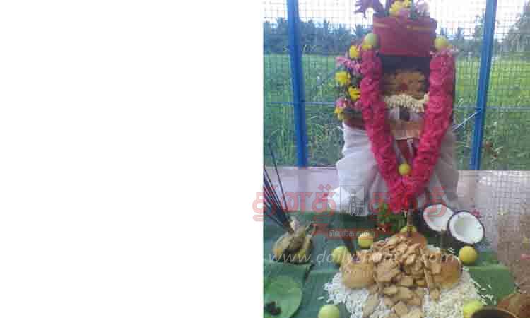 Bun and Biscuits for Muniyandi Swami | முனியாண்டி சுவாமிக்கு பன் ...