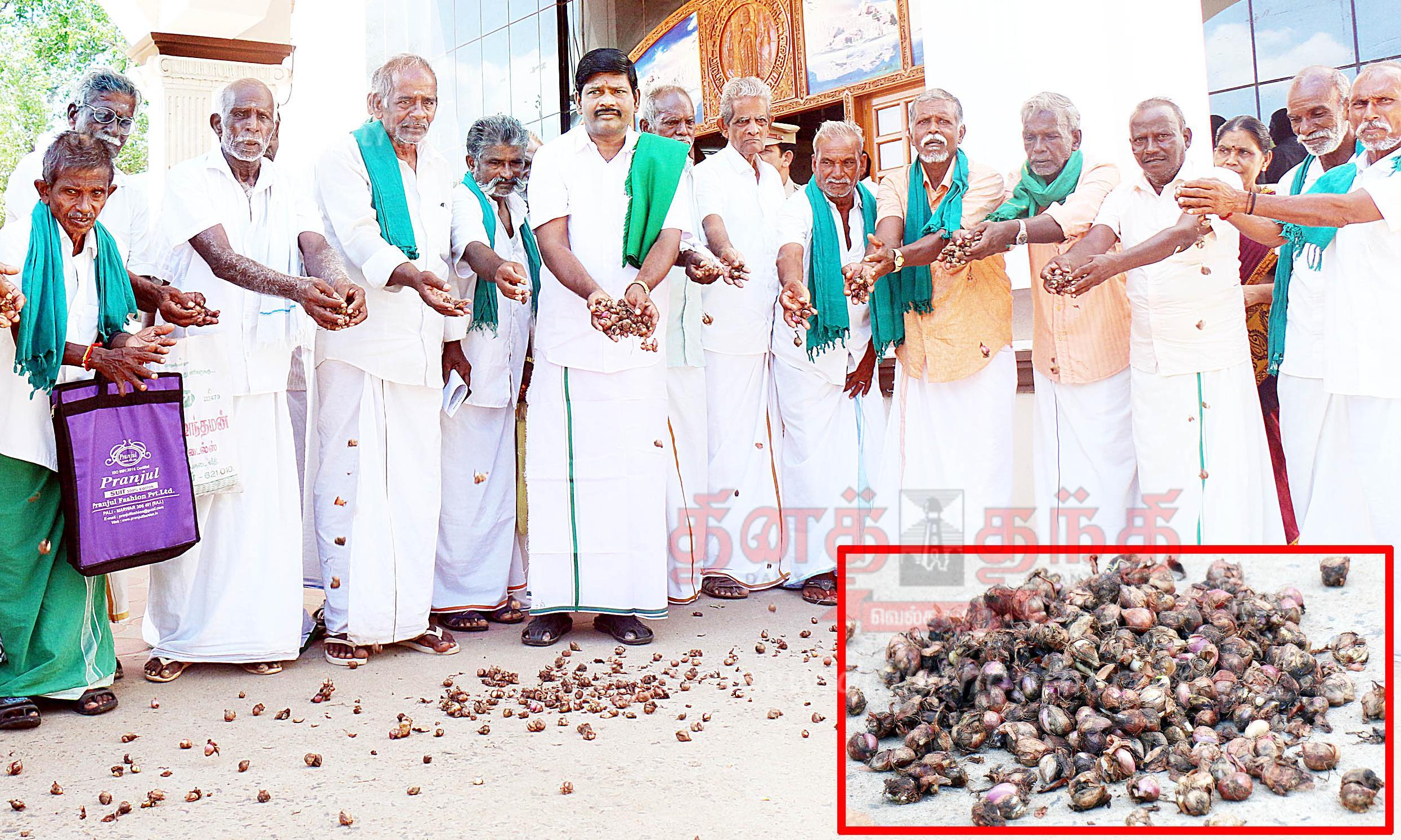 Farmers protest by throwing rotten onions on the ground | அழுகிய சின்ன ...