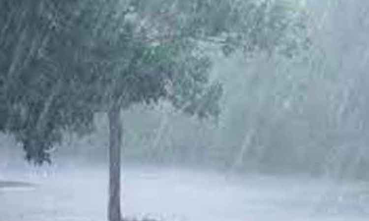 Rain in Kumari: Perunjani dam water level crossed 42 feet | குமரியில் ...