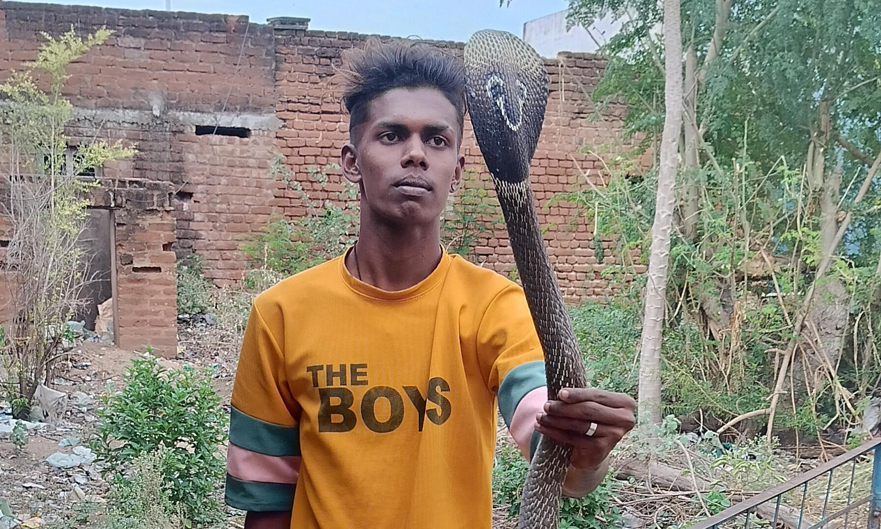 A 9 feet long snake entered the house | உப்புக்கோட்டையில் வீட்டுக்குள் ...