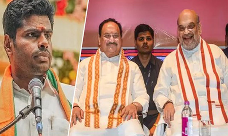 Annamalai meeting with Amit Shah, JP Natta? | அமித்ஷா, ஜே.பி ...