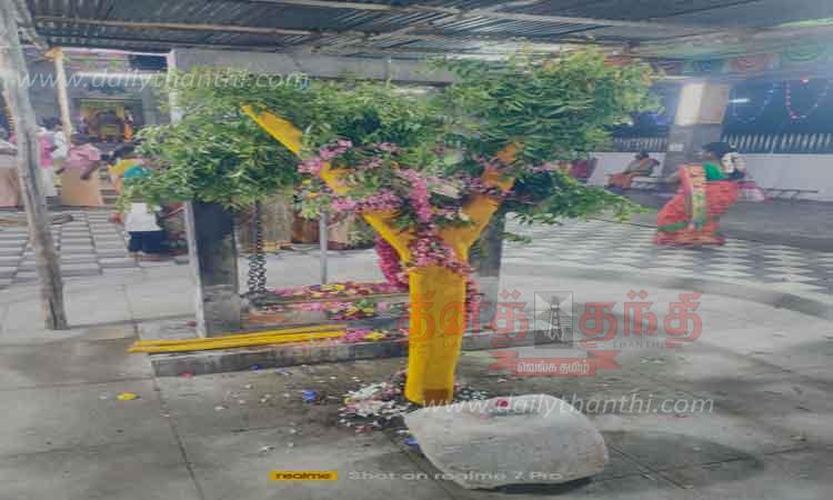 At Perundurai Fort Mariamman temple Women worship by pouring holy water ...