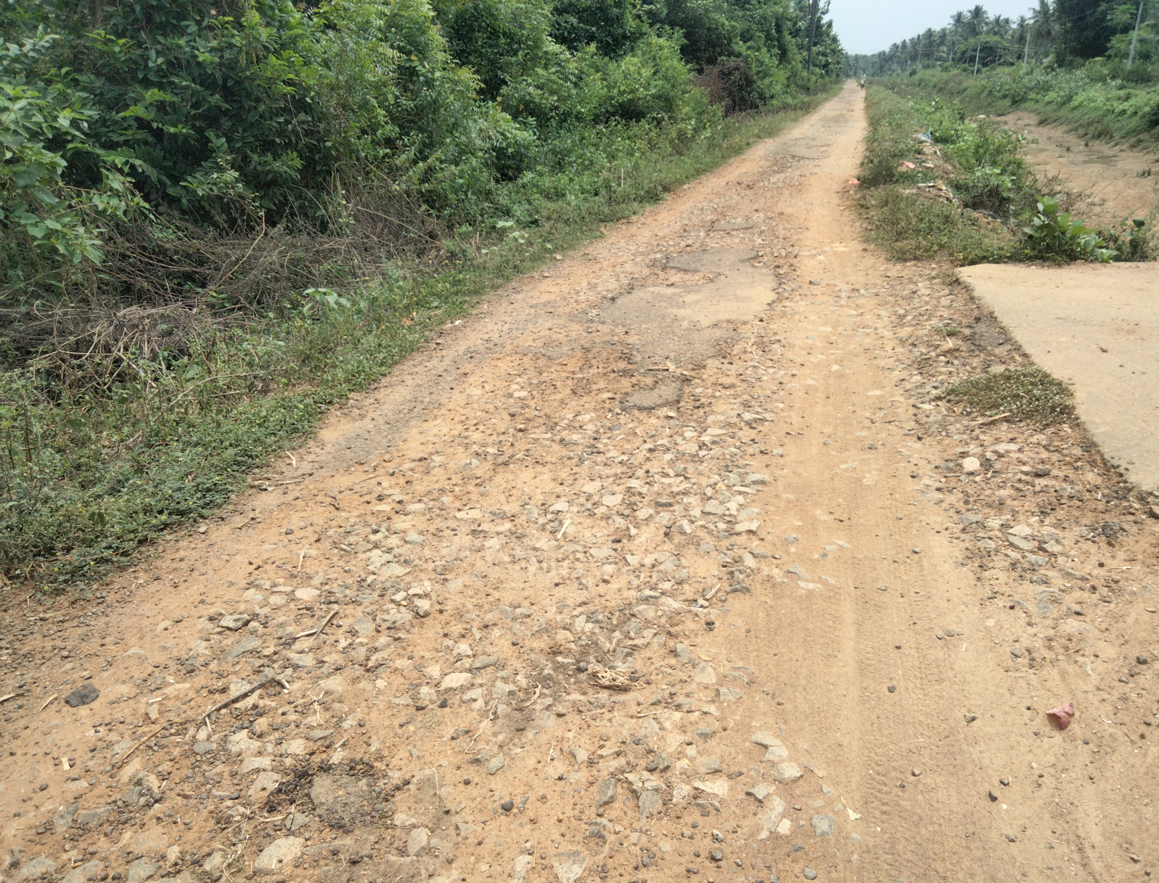 The bumpy and potholed road should be repaired | குண்டும், குழியுமான ...