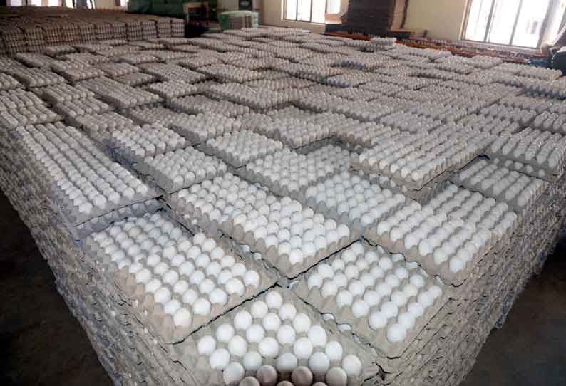 Egg price hike | முட்டை விலை 5 காசுகள் உயர்வு