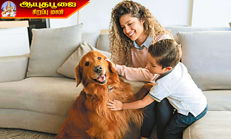 Safe dog breeding practices | பாதுகாப்பான நாய் வளர்ப்பு முறைகள்