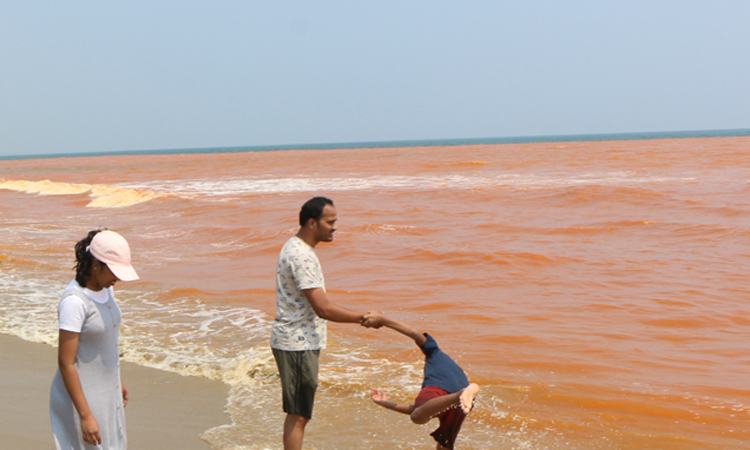 The sea turned red again | மீண்டும் செந்நிறமாக மாறிய கடல்