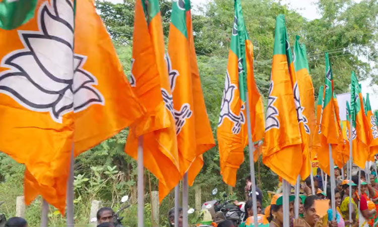 Senior BJP leaders meet to discuss strategy for Lok Sabha polls ...
