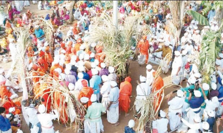 Pongal Festival: Meivazhi Salai Samathuva Pongal | சாதி மத பேதமின்றி ...