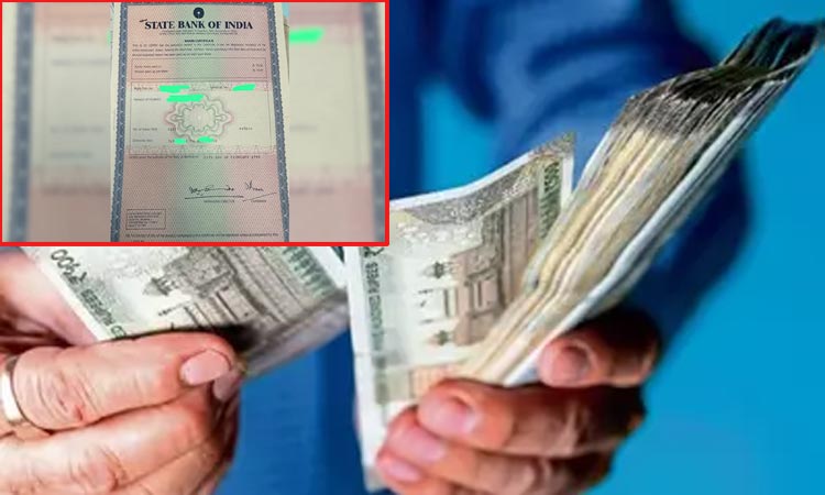 Man Finds Grandfather's SBI Shares Bought In 1994 For Rs 500, They're ...