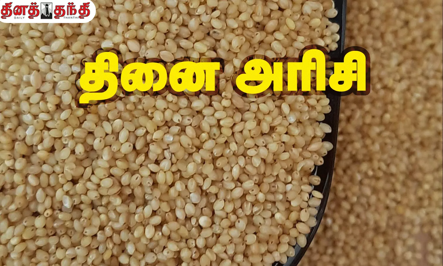 தினை அரிசி சாப்பிடுவதால் ஏற்படும் நன்மைகள்..!