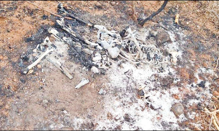 Burned human skeleton: Pandemonium in Palani | எரிந்த நிலையில் கிடந்த ...
