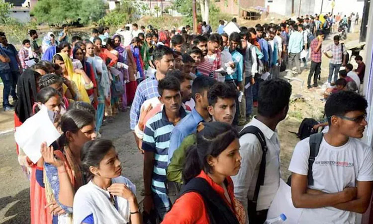 What to study after Plus-2. Which courses offer employment? | பிளஸ்-2 ...