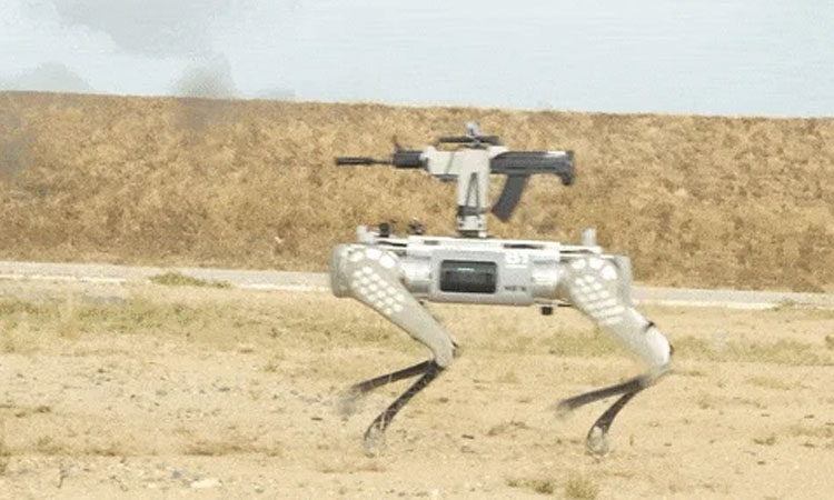 Chinese Military Unveils Rifle-Mounted Robot Dog | எந்திர ...