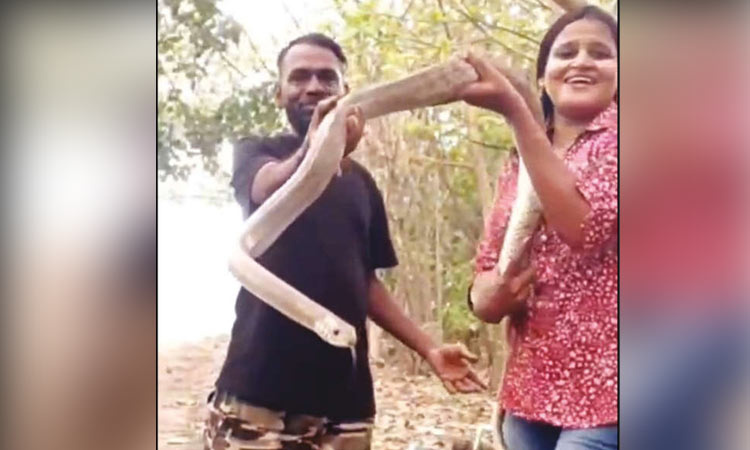 Woman caught holding a hissing snake in her hand - Forest Department ...