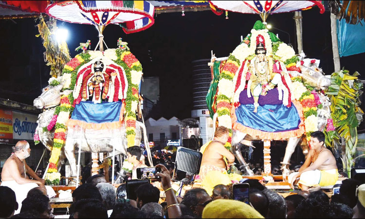 Aani Festival: Nellaiappar Gandhimathi Ambal Rishaba Vahana seva ...
