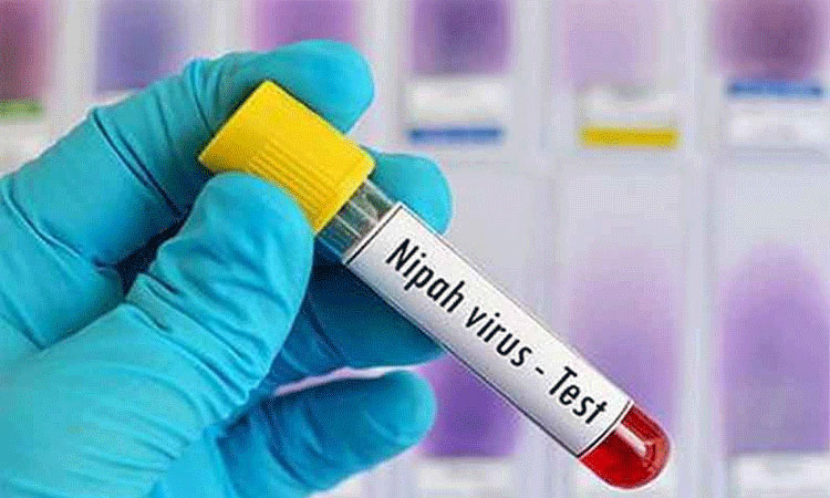 Nipah virus in bat samples collected from Malappuram district, Kerala ...