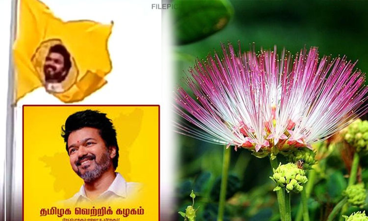 த.வெ.க. கொடியில் இடம்பெறுவது வாகை மலரா?... லோகோவா..? | T.V.K. Is the ...