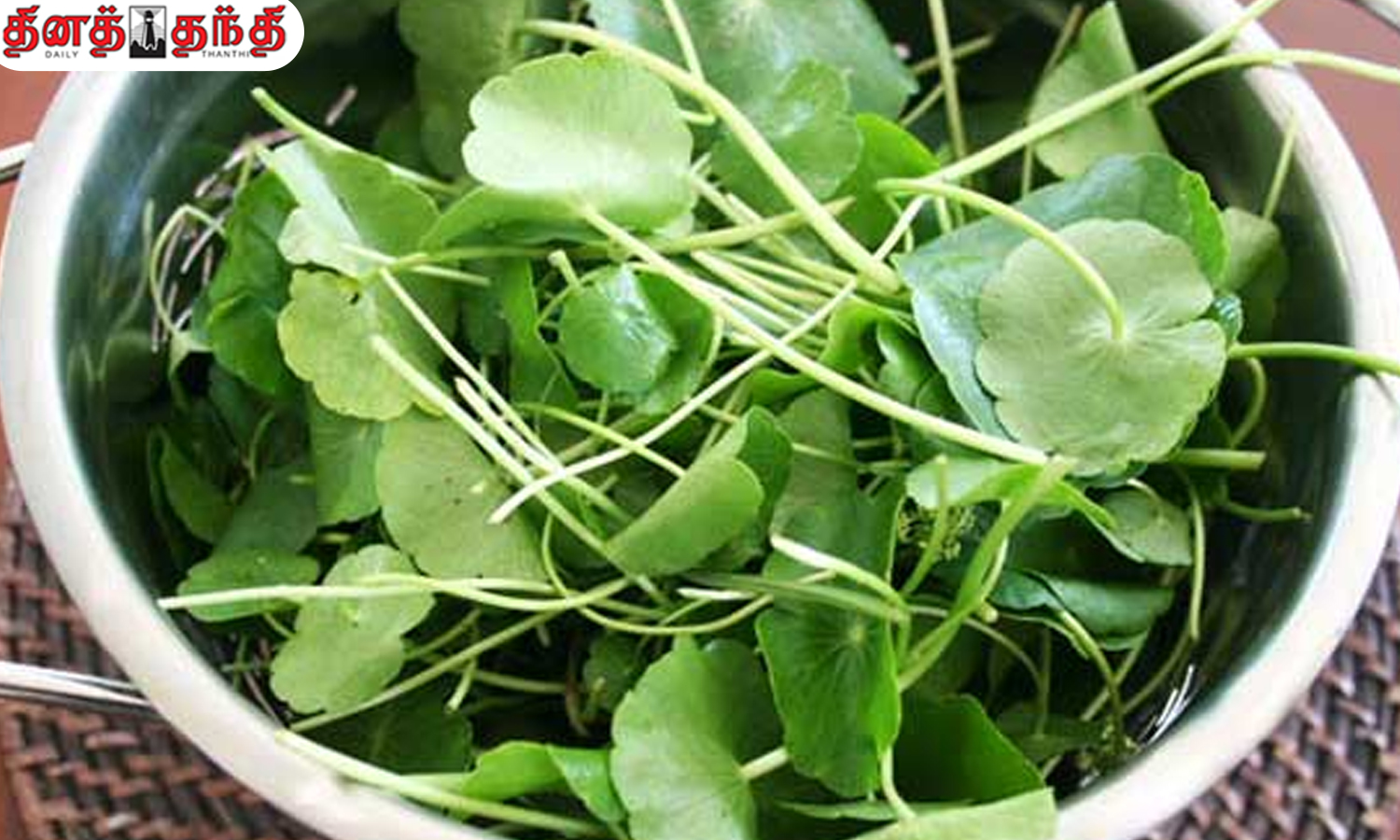 வல்லாரை கீரையின் நன்மைகள்..!Benefits of vallarai spinach..!