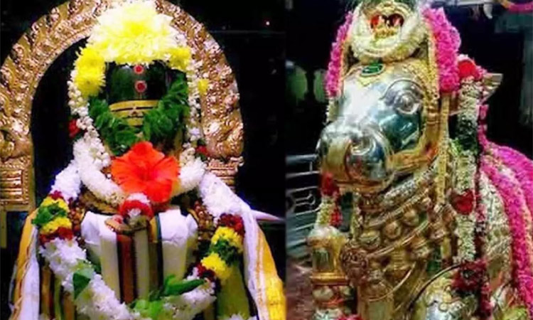pradoshams and worship benefits | 20 வகை பிரதோஷங்களும் வழிபாட்டு பலன்களும்