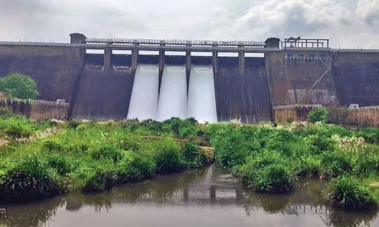 மணிமுத்தாறு அணையில் இருந்து தண்ணீர் திறக்க தமிழக அரசு உத்தரவு| Tamil ...