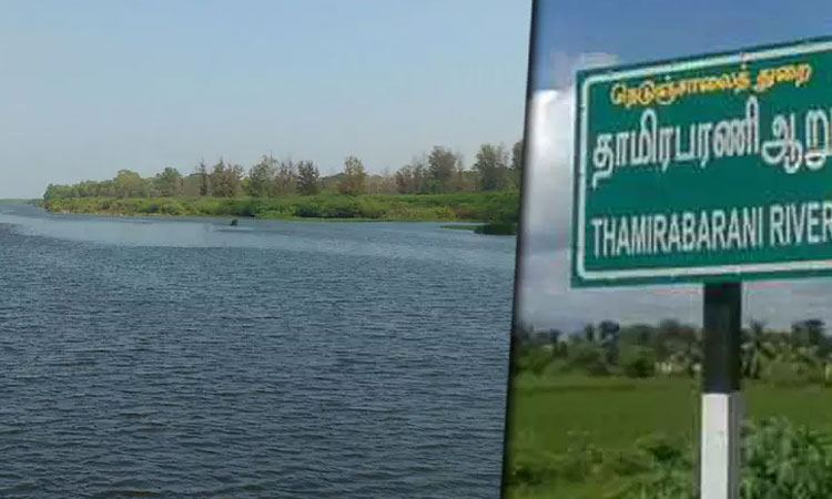 தொடர் மழை... தாமிரபரணி கரையோர மக்களுக்கு எச்சரிக்கை , Continuous rain ...