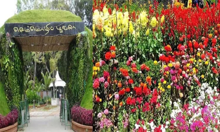 மலர் கண்காட்சிக்கான கட்டணம் உயர்வு| Chennai Flower Show Fee