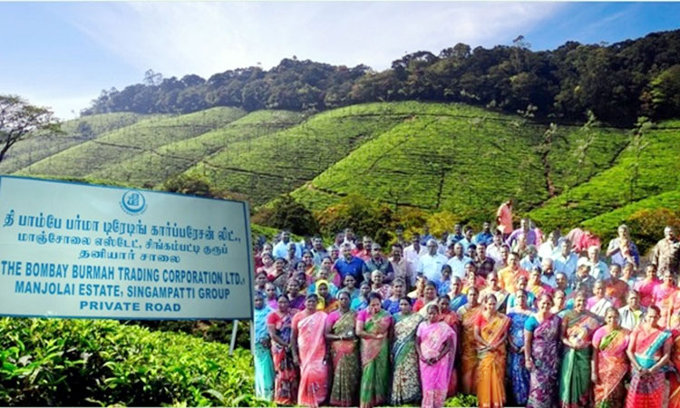 மாஞ்சோலை தேயிலை தோட்டத் தொழிலாளர்களுக்கு இலவச வீடு - அரசாணை வெளியீடு ...