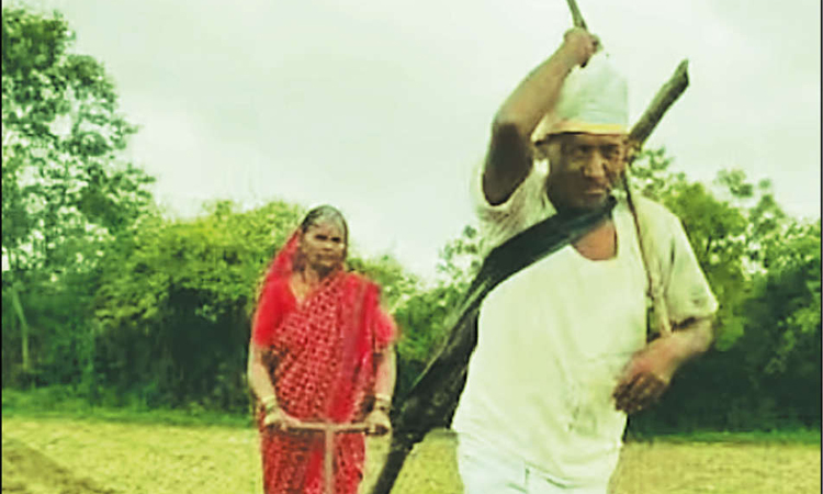 மனிதரே மாடாக மாறி ஏர் உழும் பரிதாபம்| It's a pity that humans turn into ...