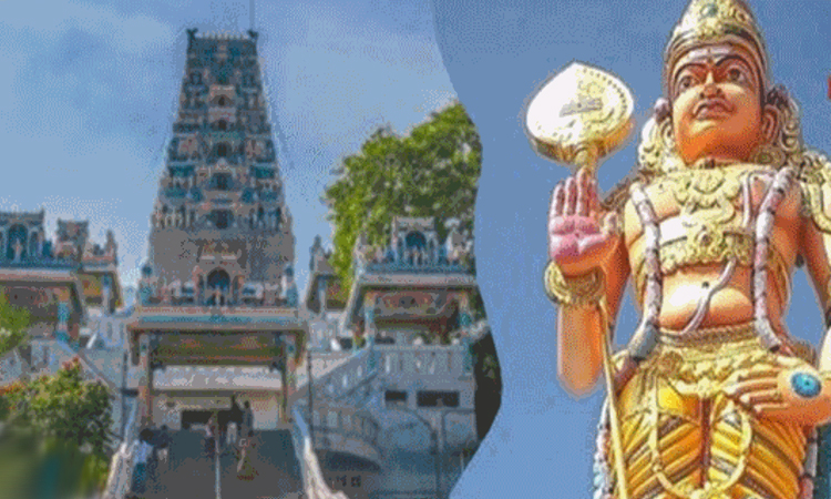 மருதமலையில் 184 அடி உயர முருகன் சிலை.. சென்னை ஐகோர்ட்டு முக்கிய உத்தரவு ...